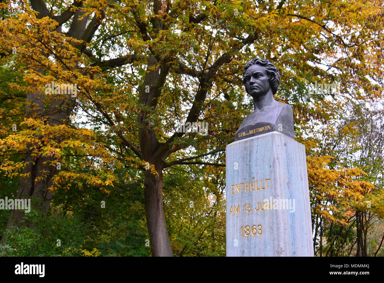 spot- Trail Beethovengang Stock Photo - Alamy