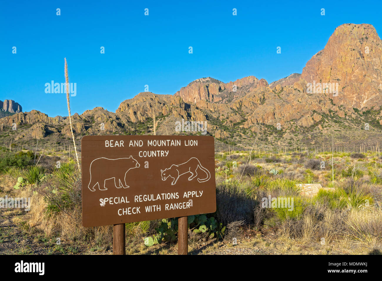 Road texas hi-res stock photography and images - Alamy