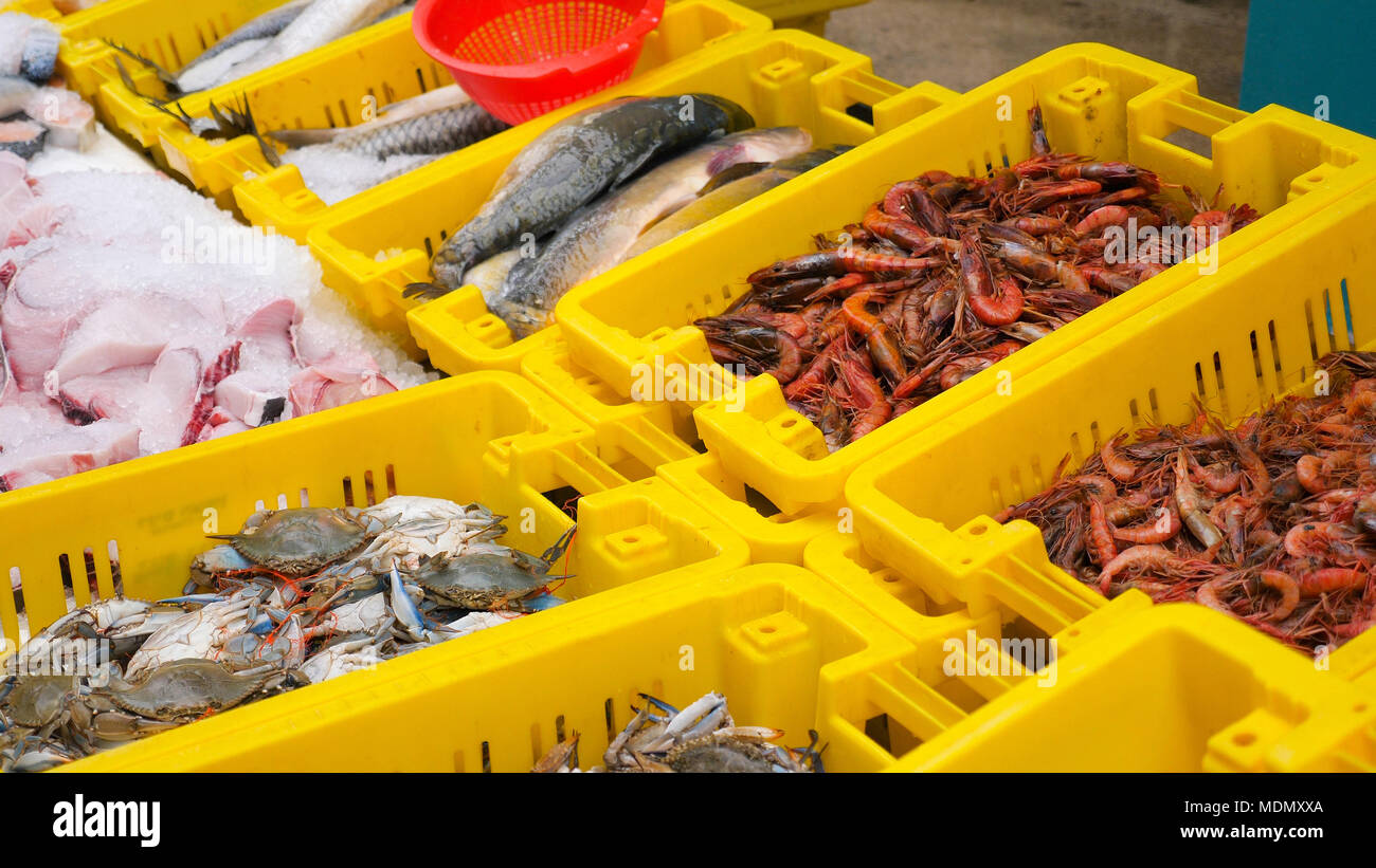 Various Fish and seafood in yellow boxes at a local market Stock Photo ...