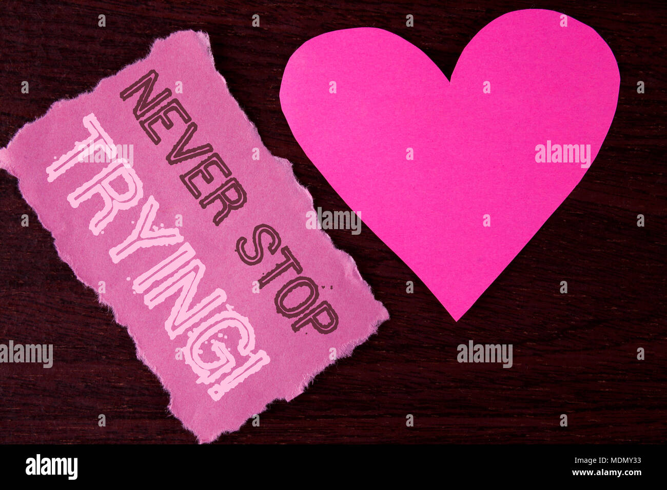 Handwriting text writing Never Stop Trying Motivational Call. Concept ...