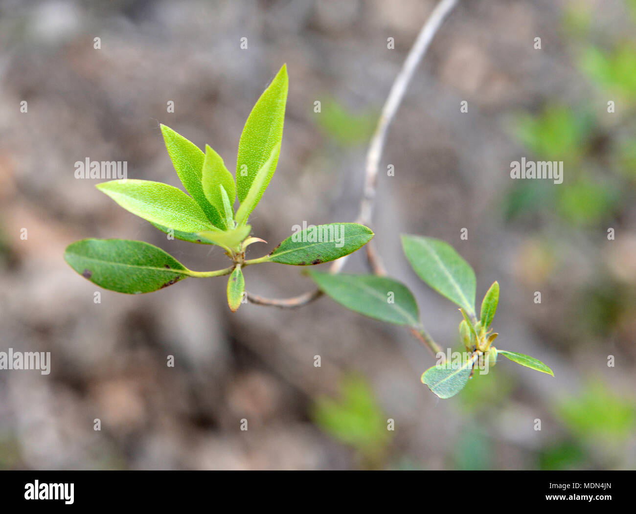 New park in beijing hi-res stock photography and images - Alamy