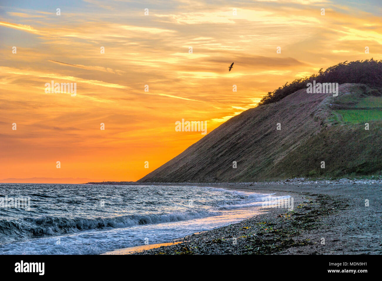 Soaring over the bluff Stock Photo - Alamy