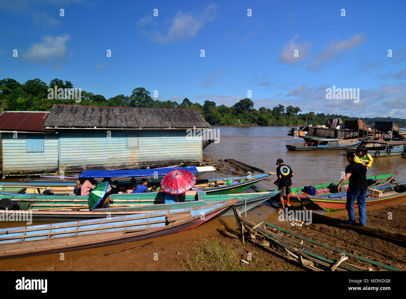 community activities on the Barito river, Borneo, Indonesia Stock Photo ...