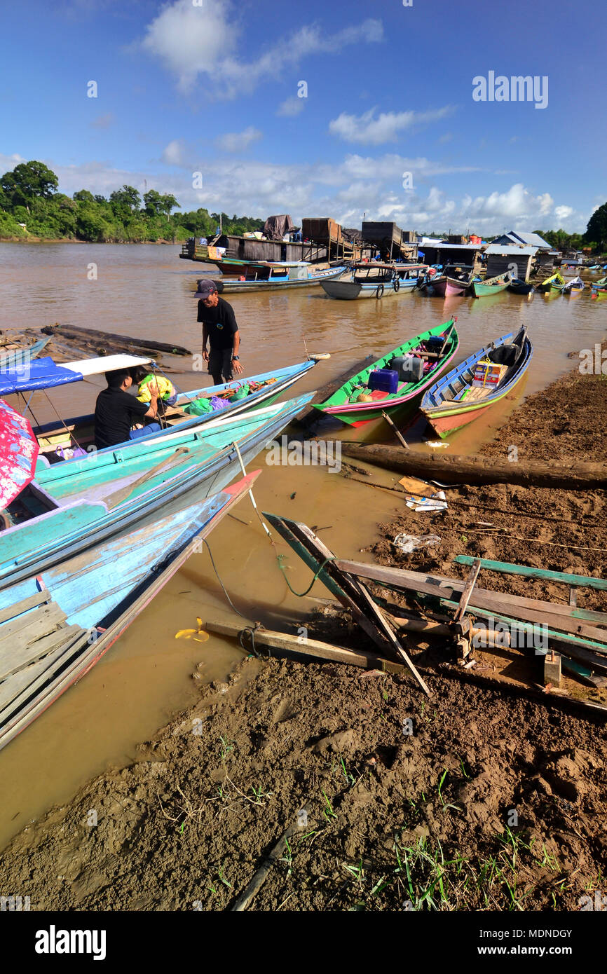 community activities on the Barito river, Borneo, Indonesia Stock Photo ...