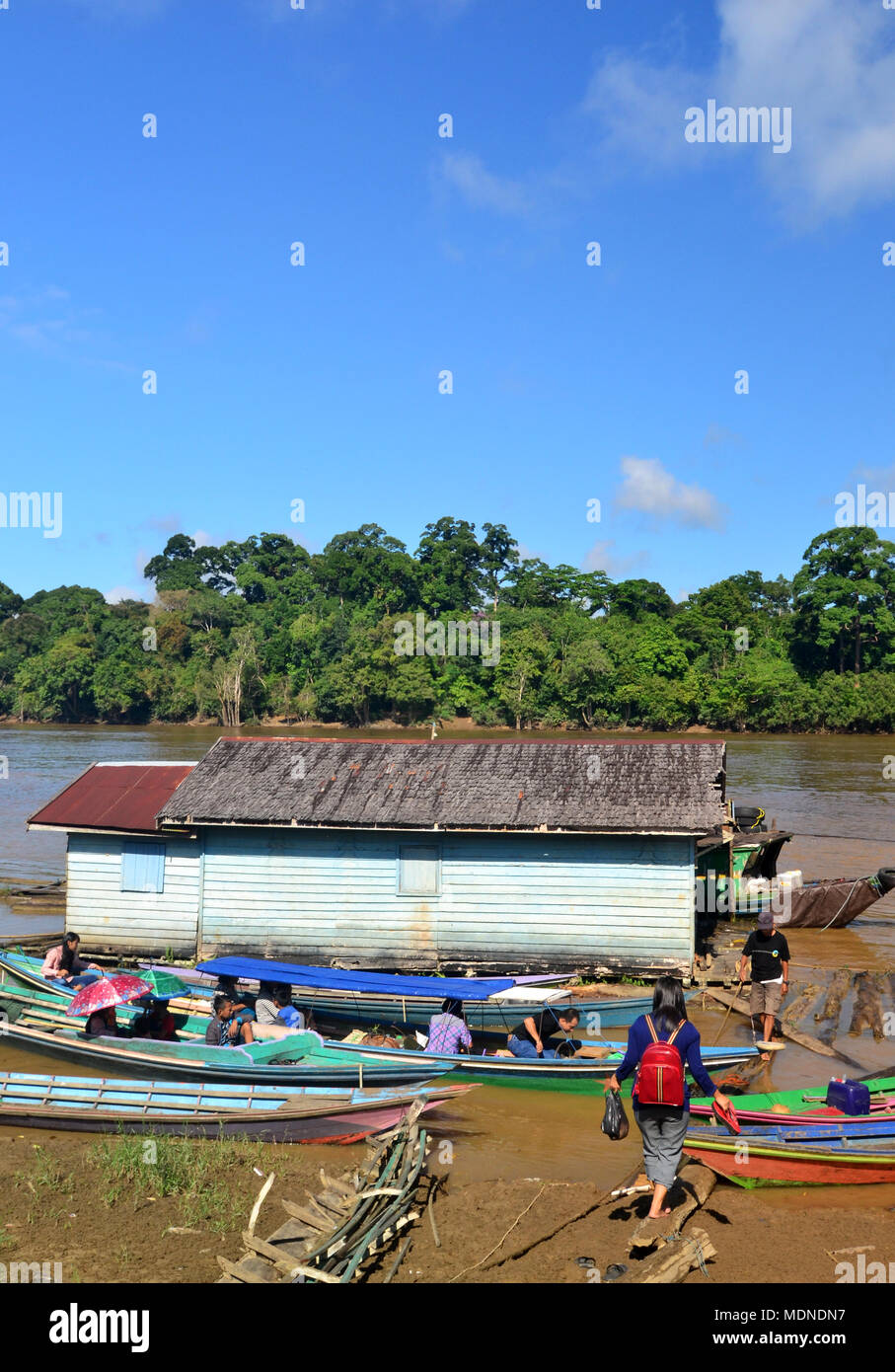 community activities on the Barito river, Borneo, Indonesia Stock Photo ...