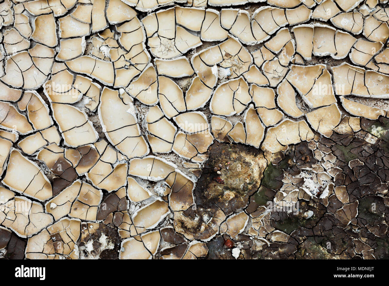 cracked earth texture Stock Photo - Alamy