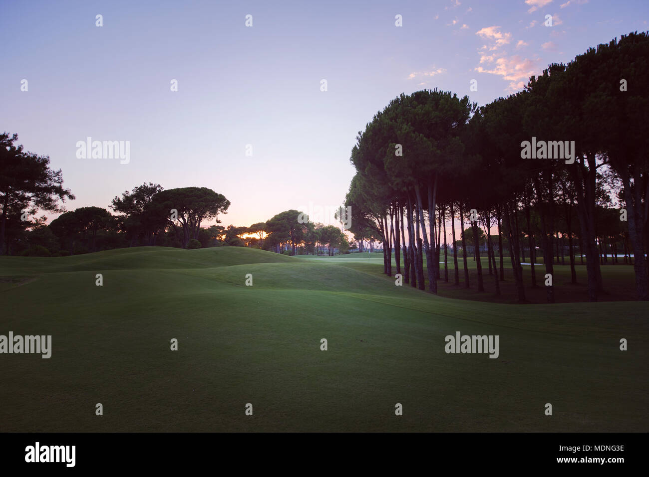 golf course landscape at beautiful sunset Stock Photo - Alamy