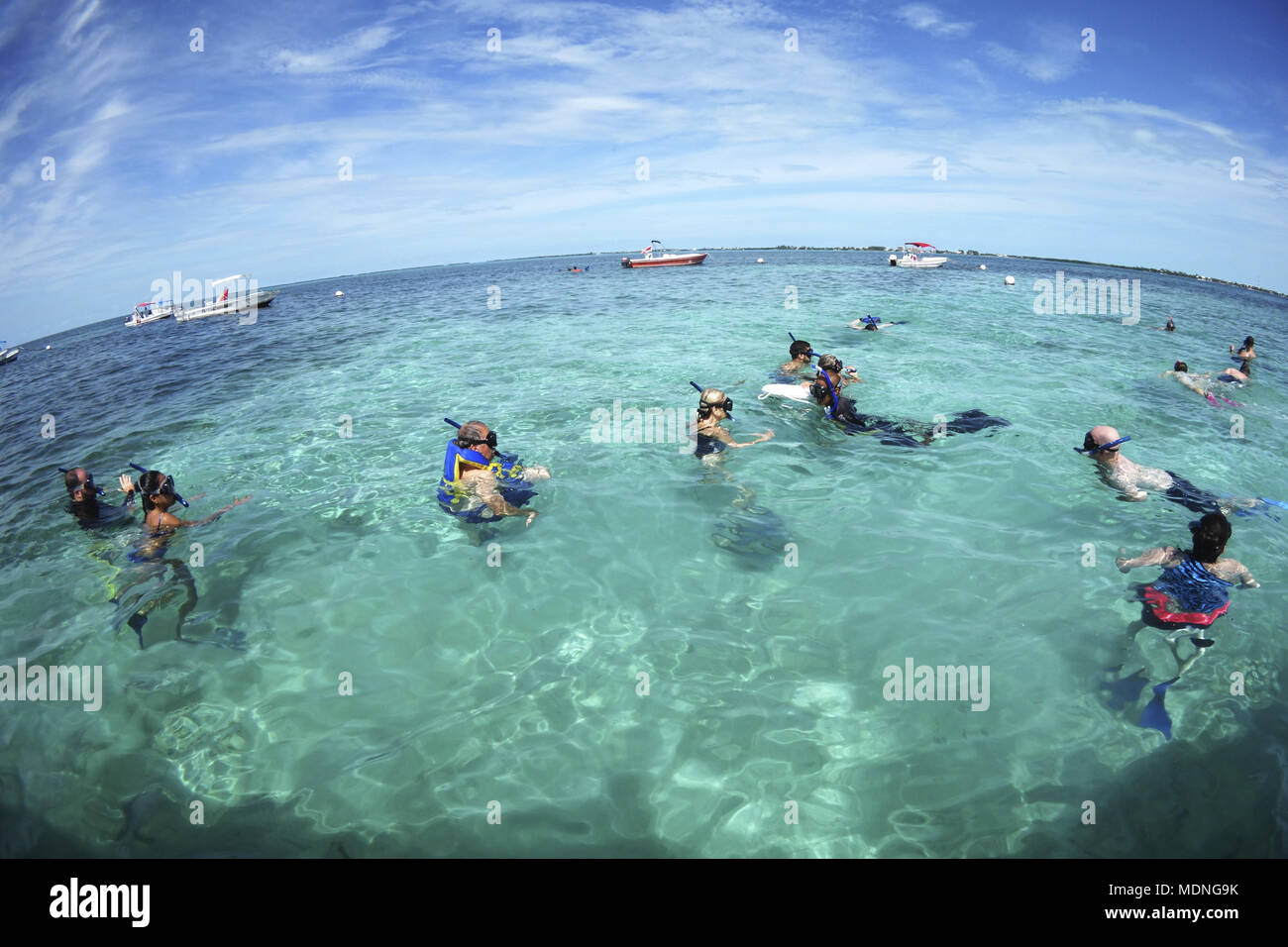 Ho Chan Marine Reserve & Shark Ray Alley Stock Photo - Alamy