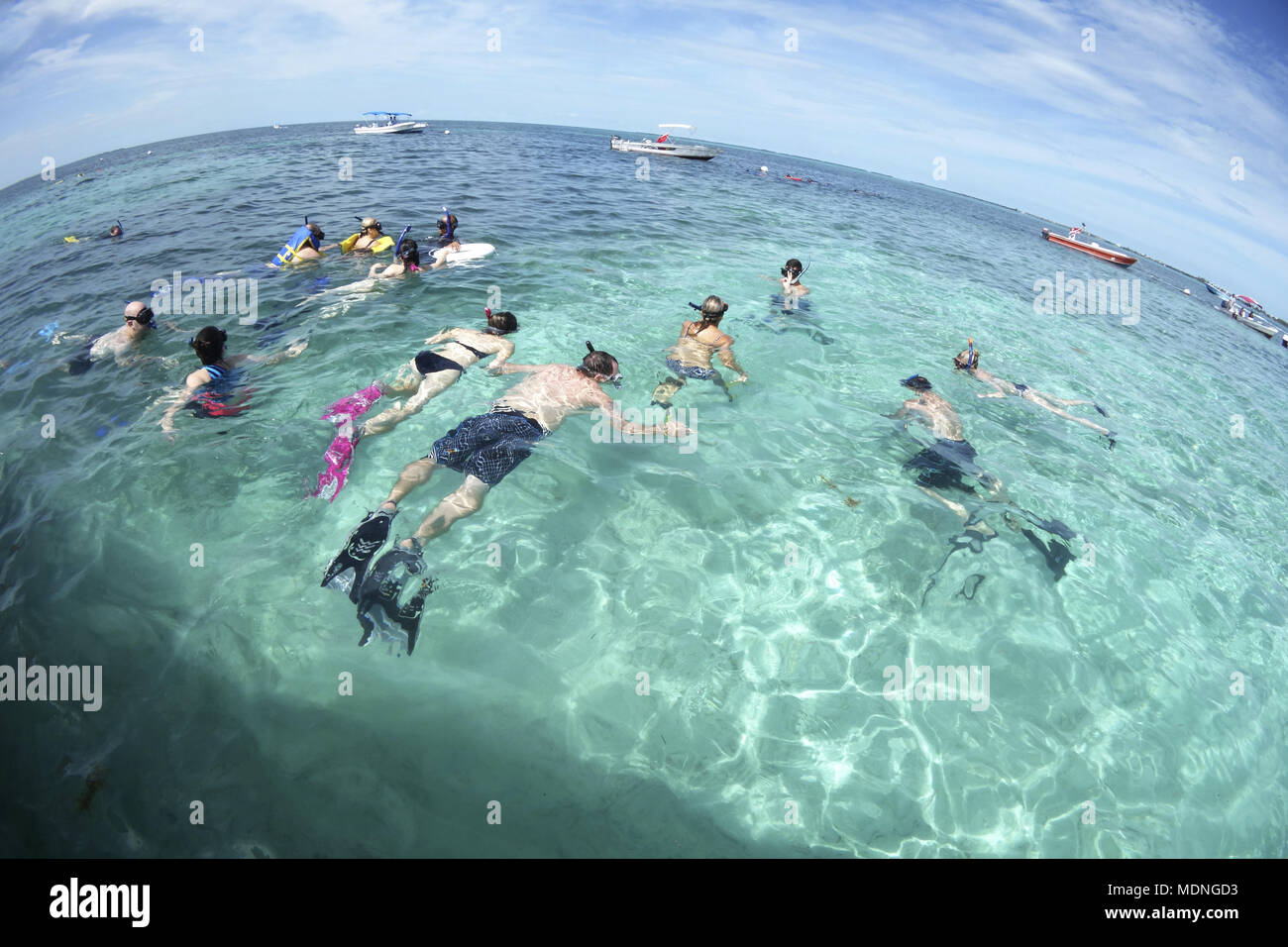 Ho Chan Marine Reserve & Shark Ray Alley Stock Photo - Alamy
