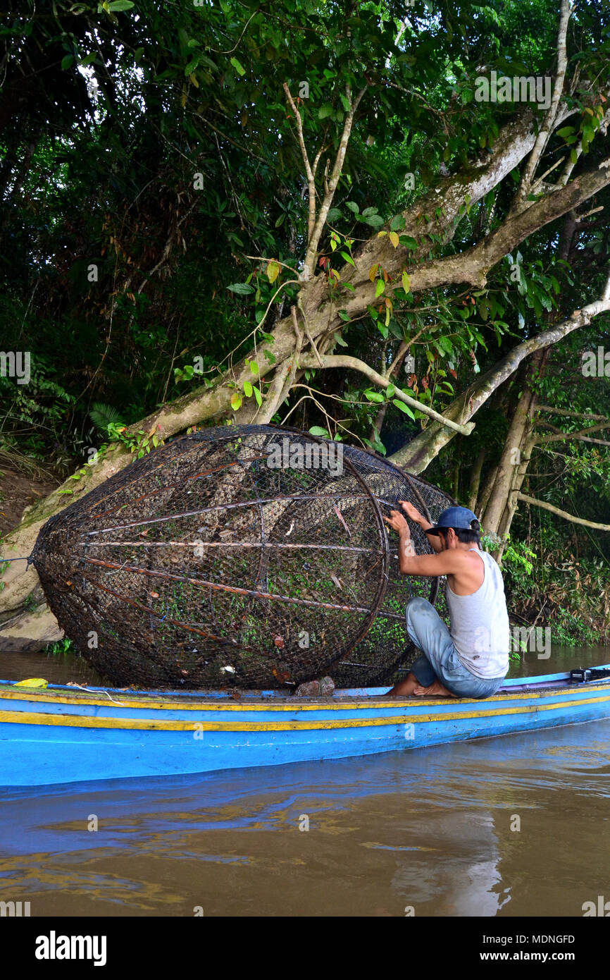 community activities on the Barito river, Borneo, Indonesia Stock Photo ...