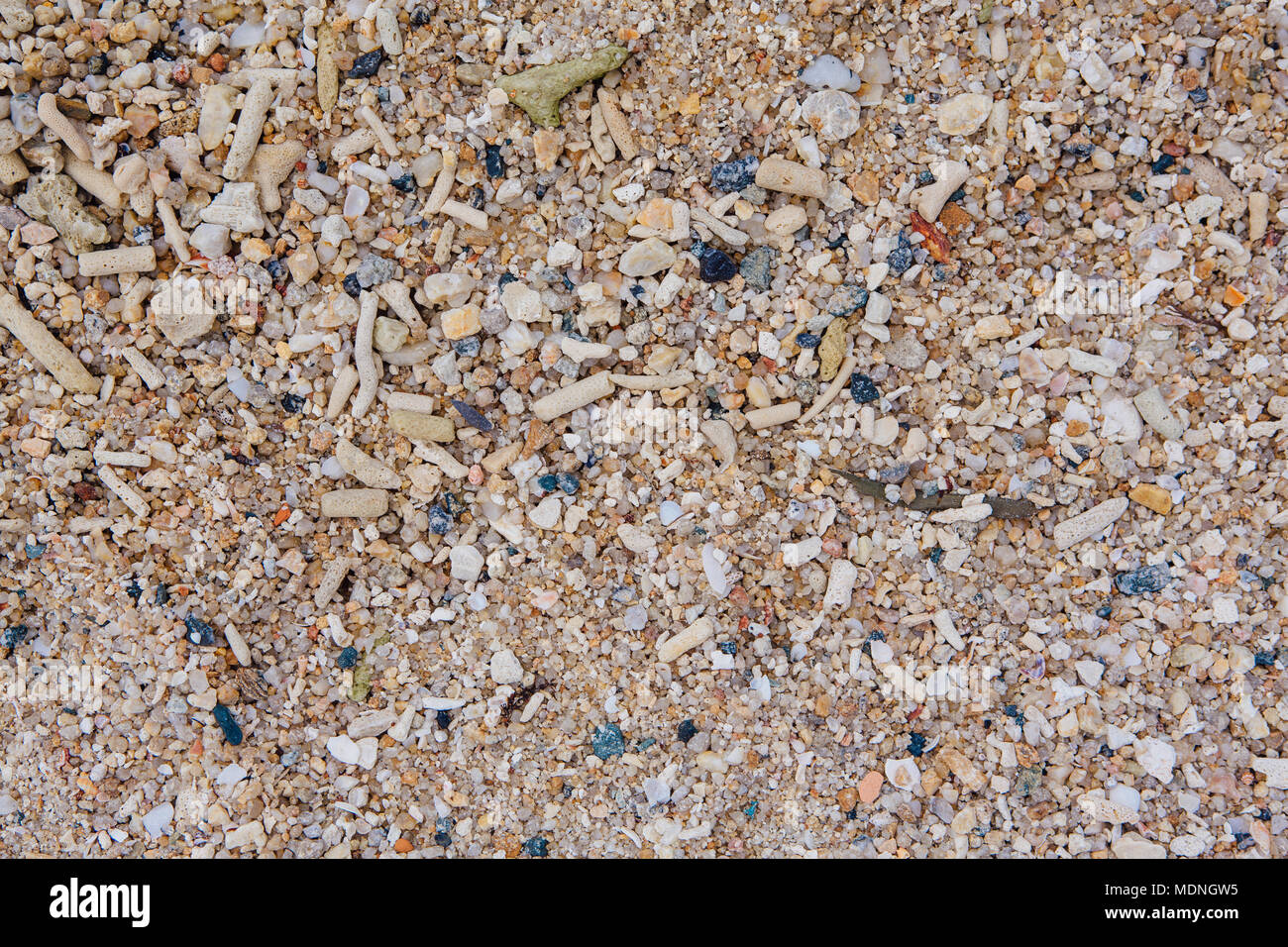 Sea shell and stone pieces texture Stock Photo - Alamy