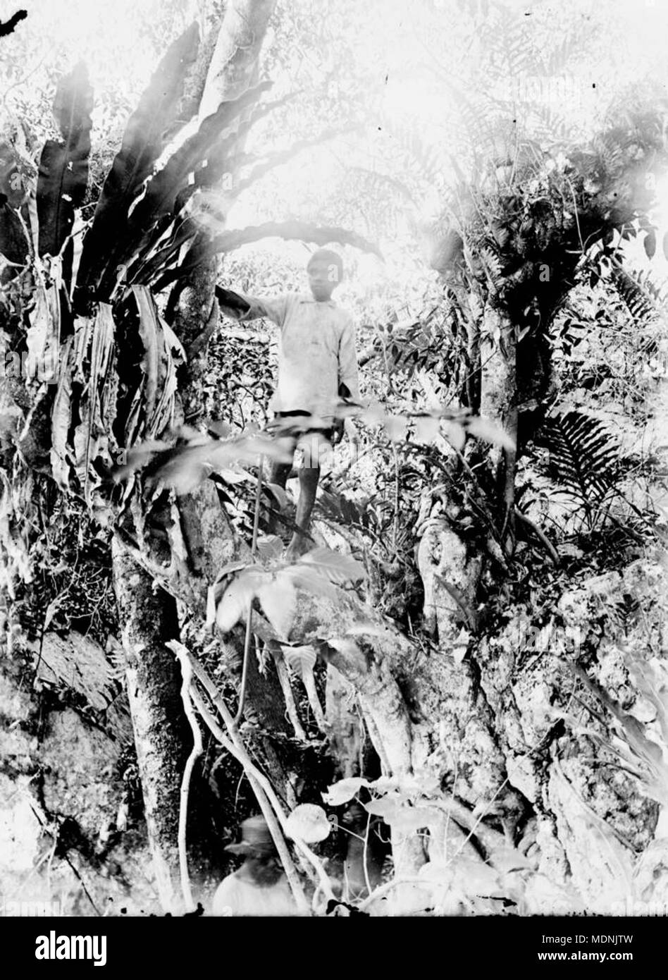 Portrait of a young boy, Hope Vale Mission, ca 1910 Stock Photo - Alamy