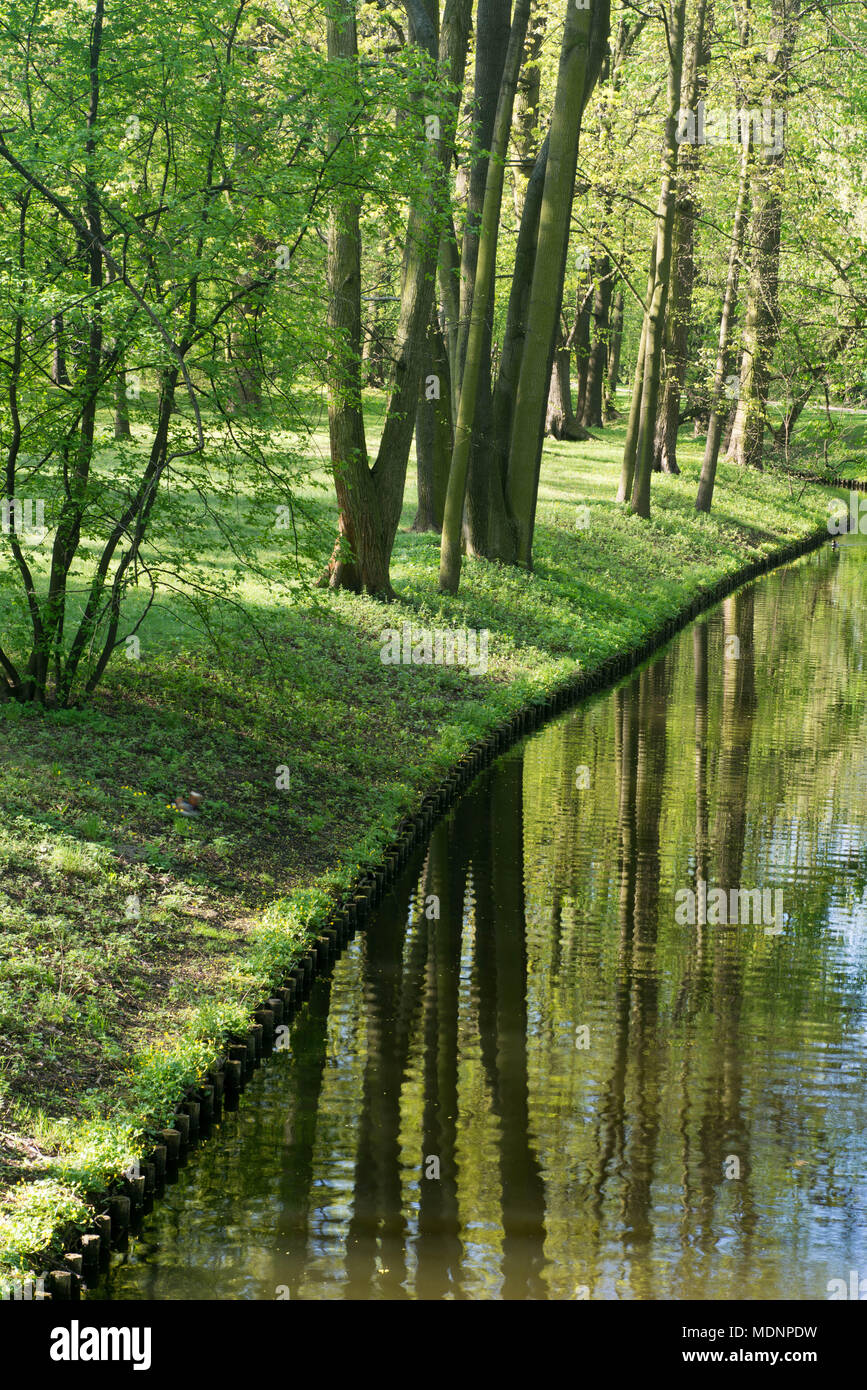 Lazienki park park parkland hi-res stock photography and images - Alamy