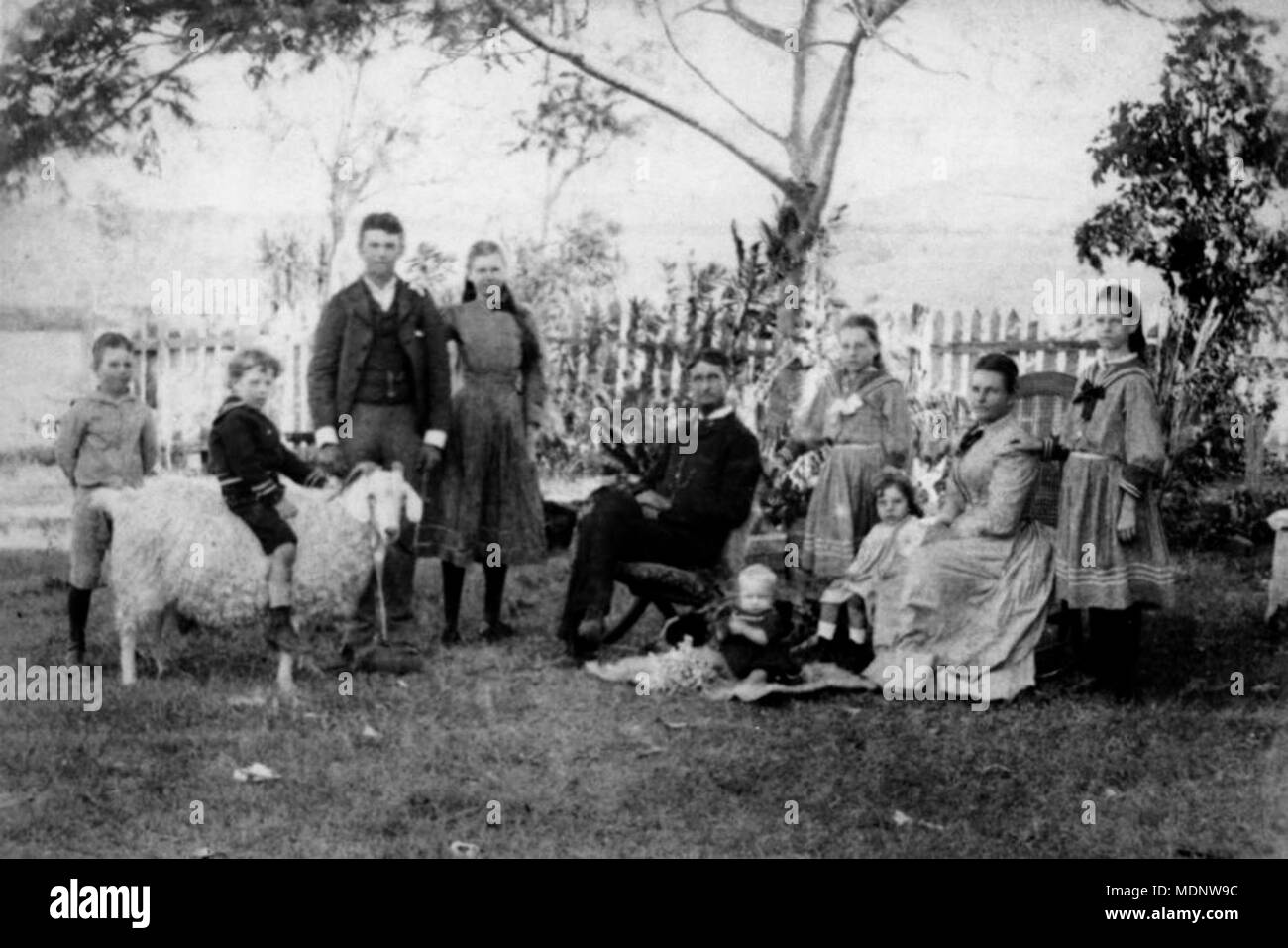 Tooth family gathering on the lawn Stock Photo - Alamy