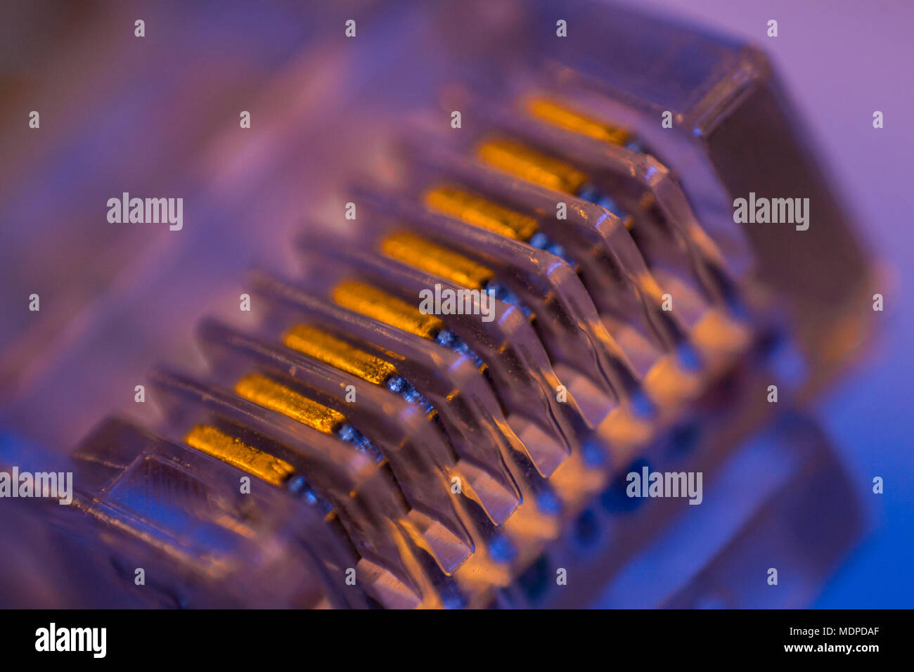 Macro closeup of Ethernet cable connector Stock Photo - Alamy
