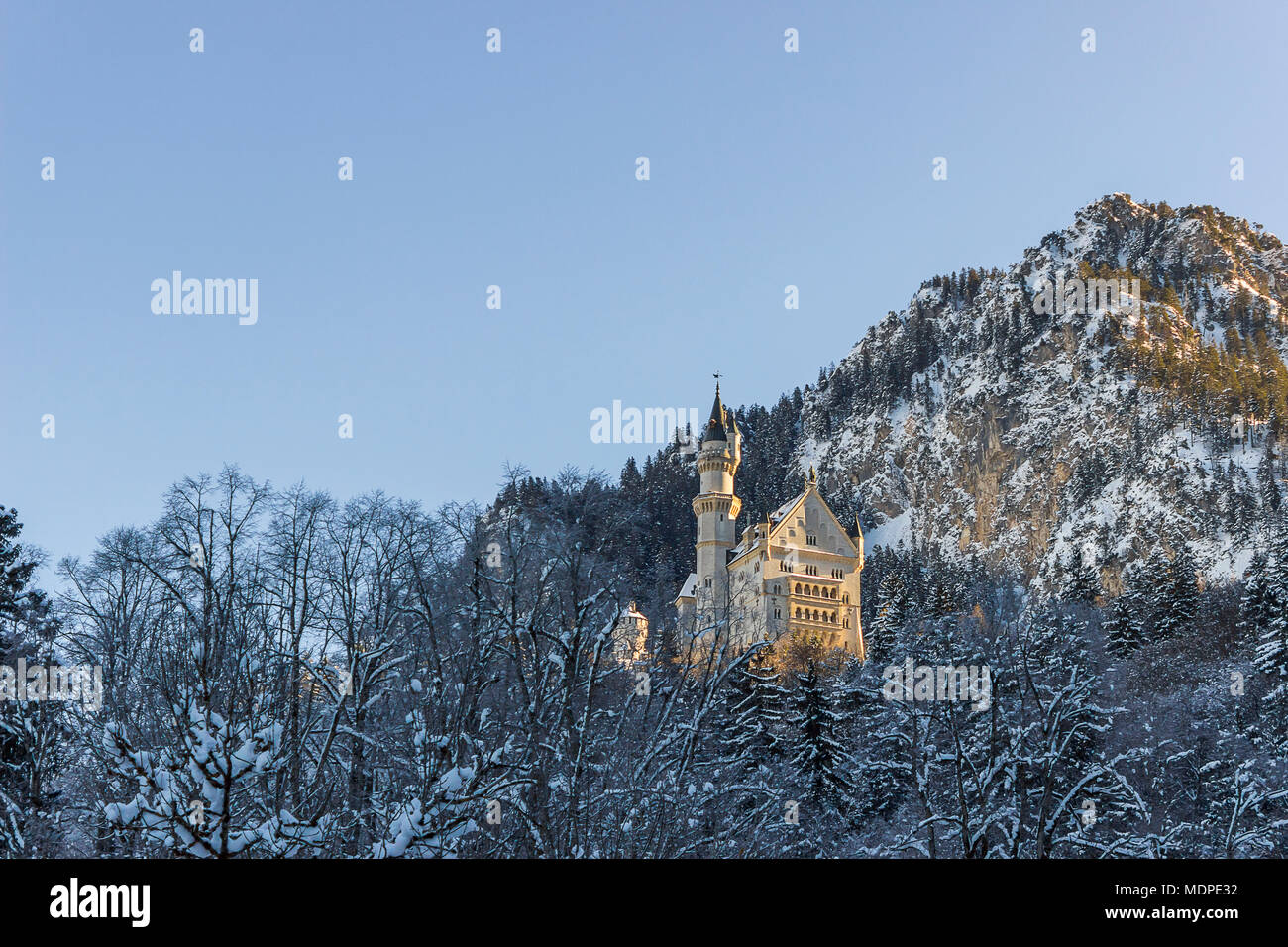 Neuschwanstein Castle surrounded by mountains trees in Fussen Stock ...