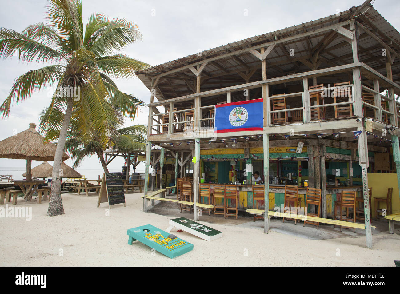 Lazy Lizard at The Split Stock Photo - Alamy