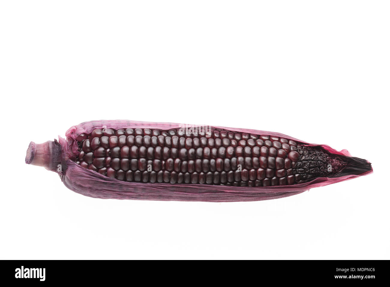 purple corn isolated on white background Stock Photo - Alamy