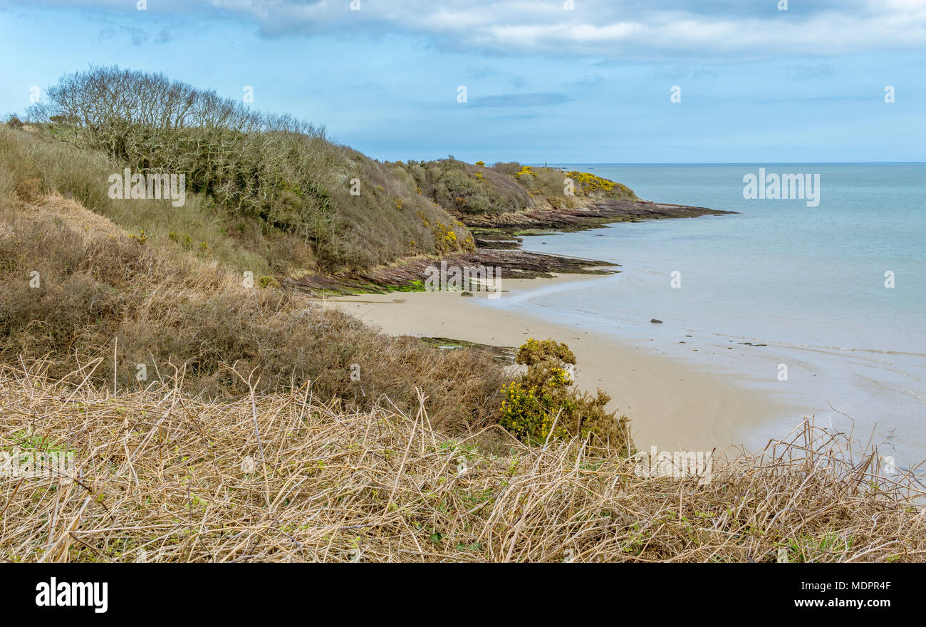A view of Lligwy beach on Anglesey, in North Wales Stock Photo - Alamy