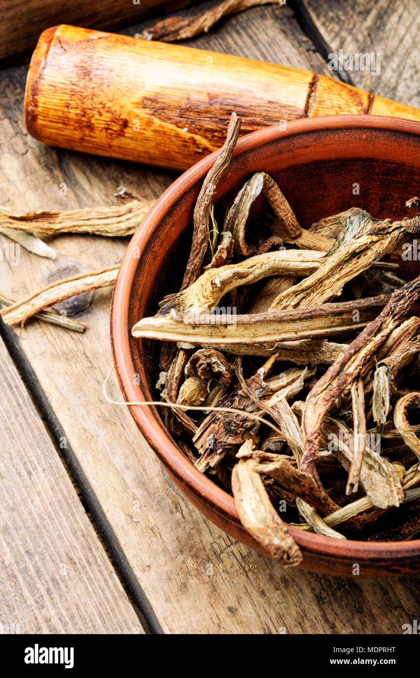 Medicinal raw materials from roots and rhizomes inula.Root elecampane ...