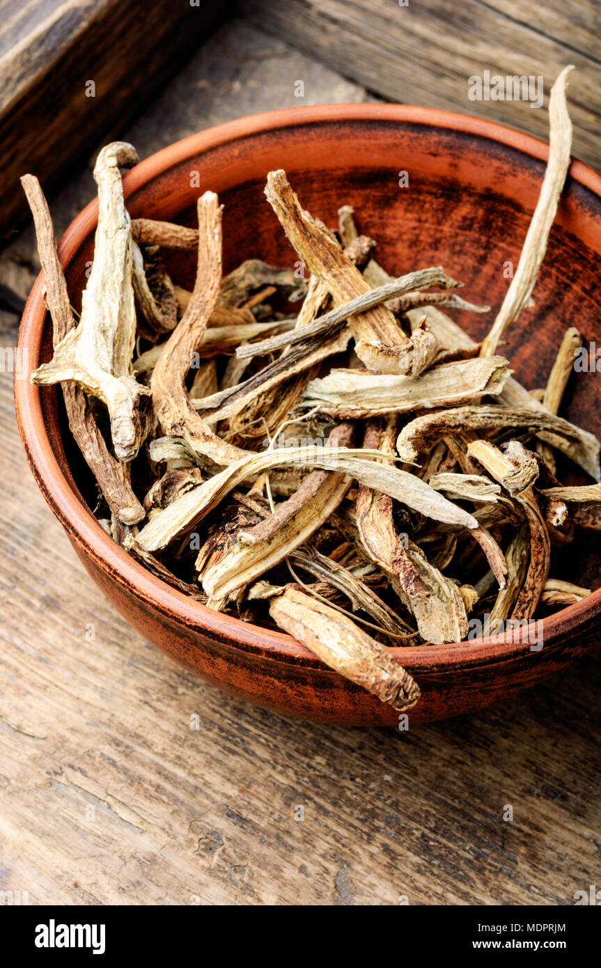 Medicinal raw materials from roots and rhizomes inula.Root elecampane ...
