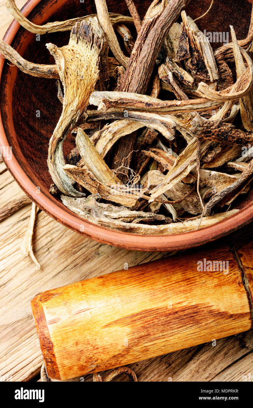 Medicinal raw materials from roots and rhizomes inula.Root elecampane ...