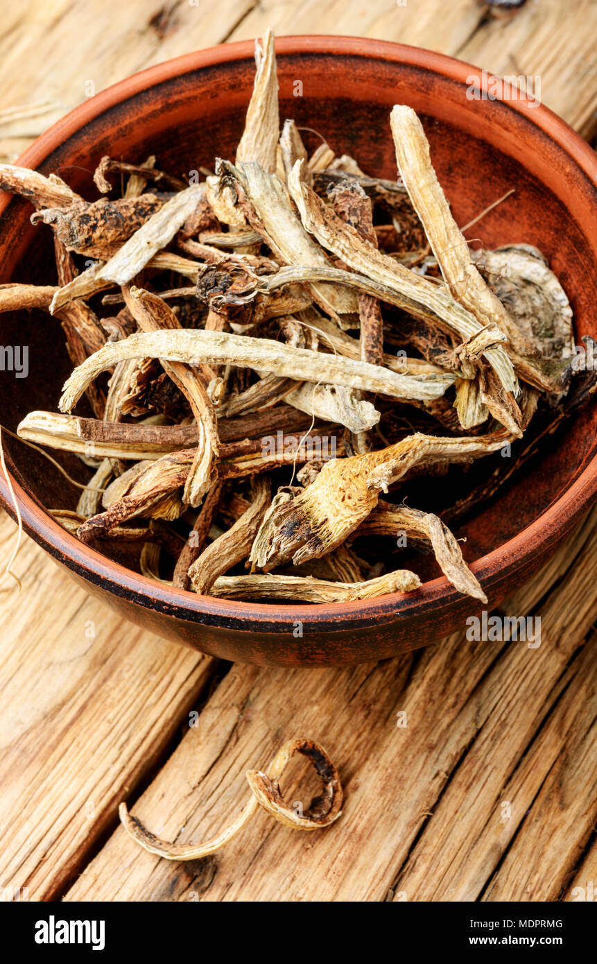 Medicinal raw materials from roots and rhizomes inula.Root elecampane ...