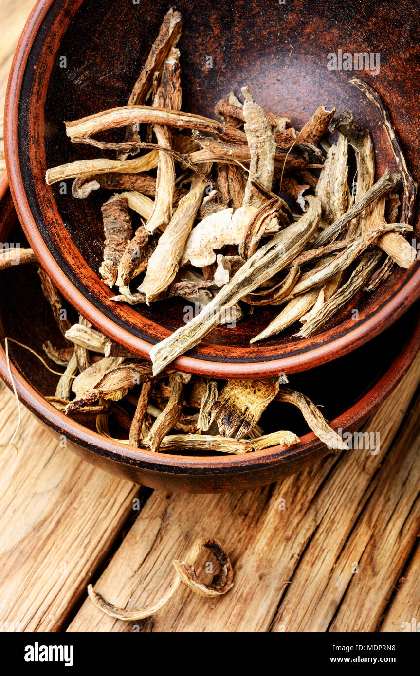 Medicinal raw materials from roots and rhizomes inula.Root elecampane ...