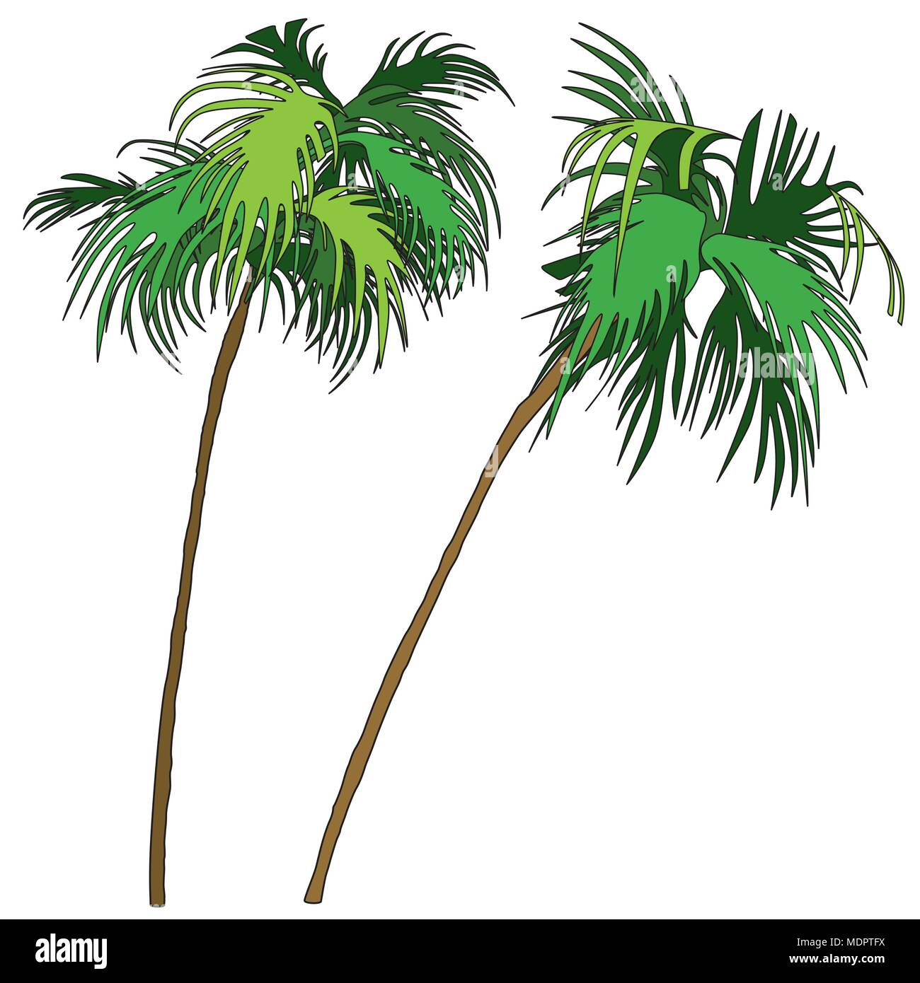 Two Coconut Palm Trees Stock Vector Image & Art - Alamy