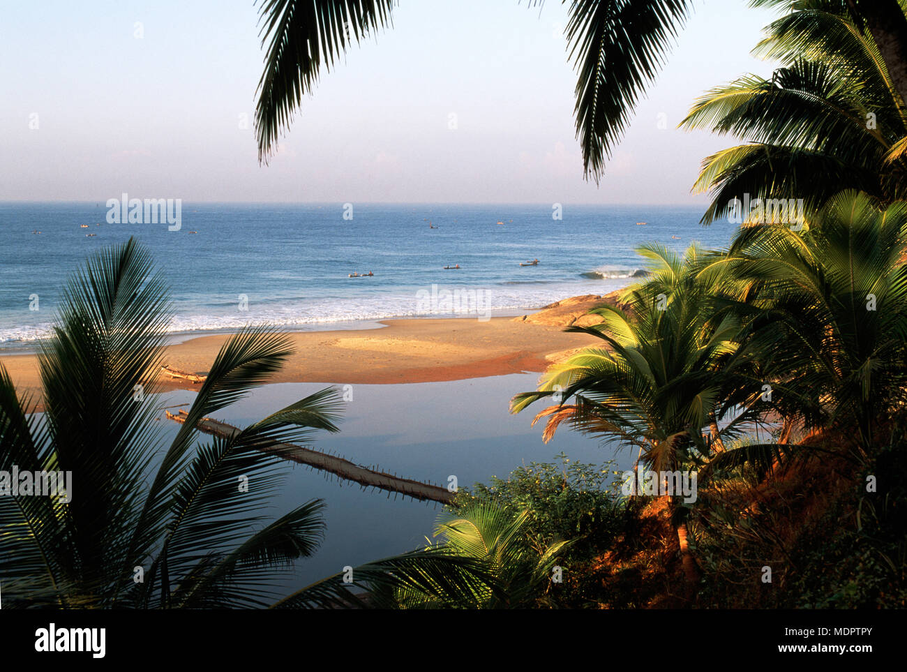 Kerala, India; Malabar coast with palm trees Stock Photo - Alamy