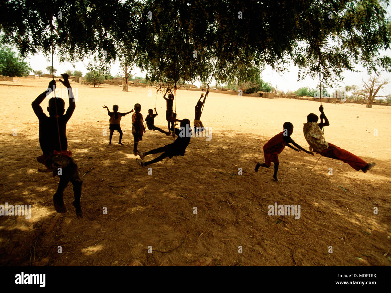 Dogon Country, Mali; boys playing on swings Stock Photo - Alamy
