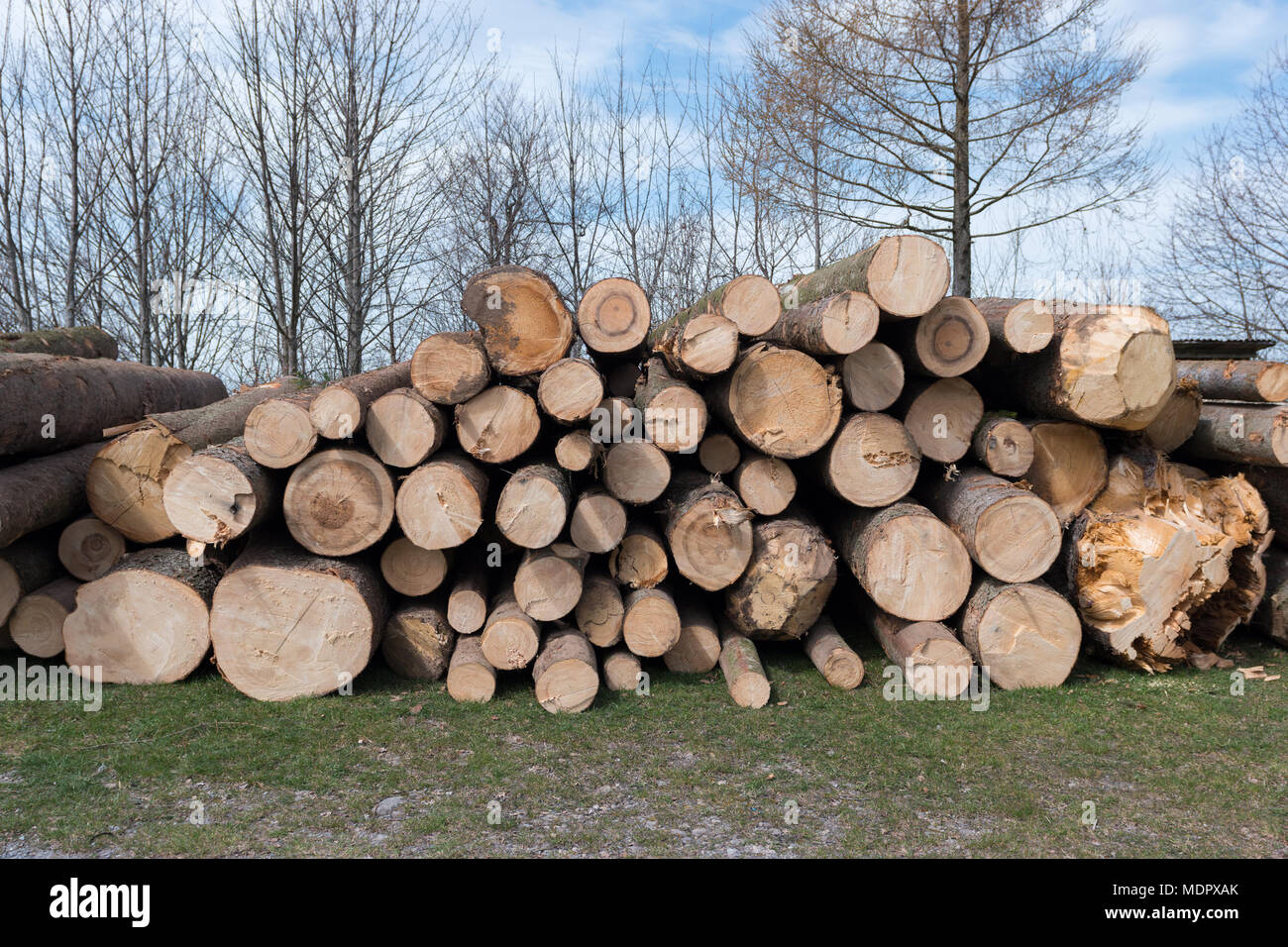 Timber pile hi-res stock photography and images - Alamy