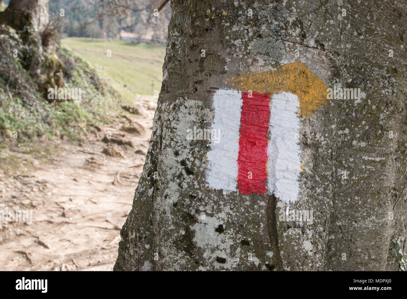 Hiking trail mark hi-res stock photography and images - Alamy