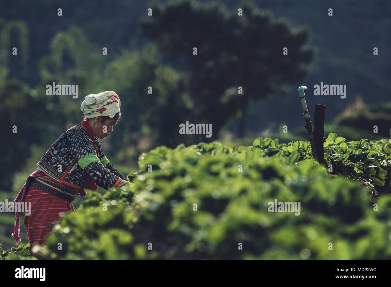 Ang village hi-res stock photography and images - Alamy