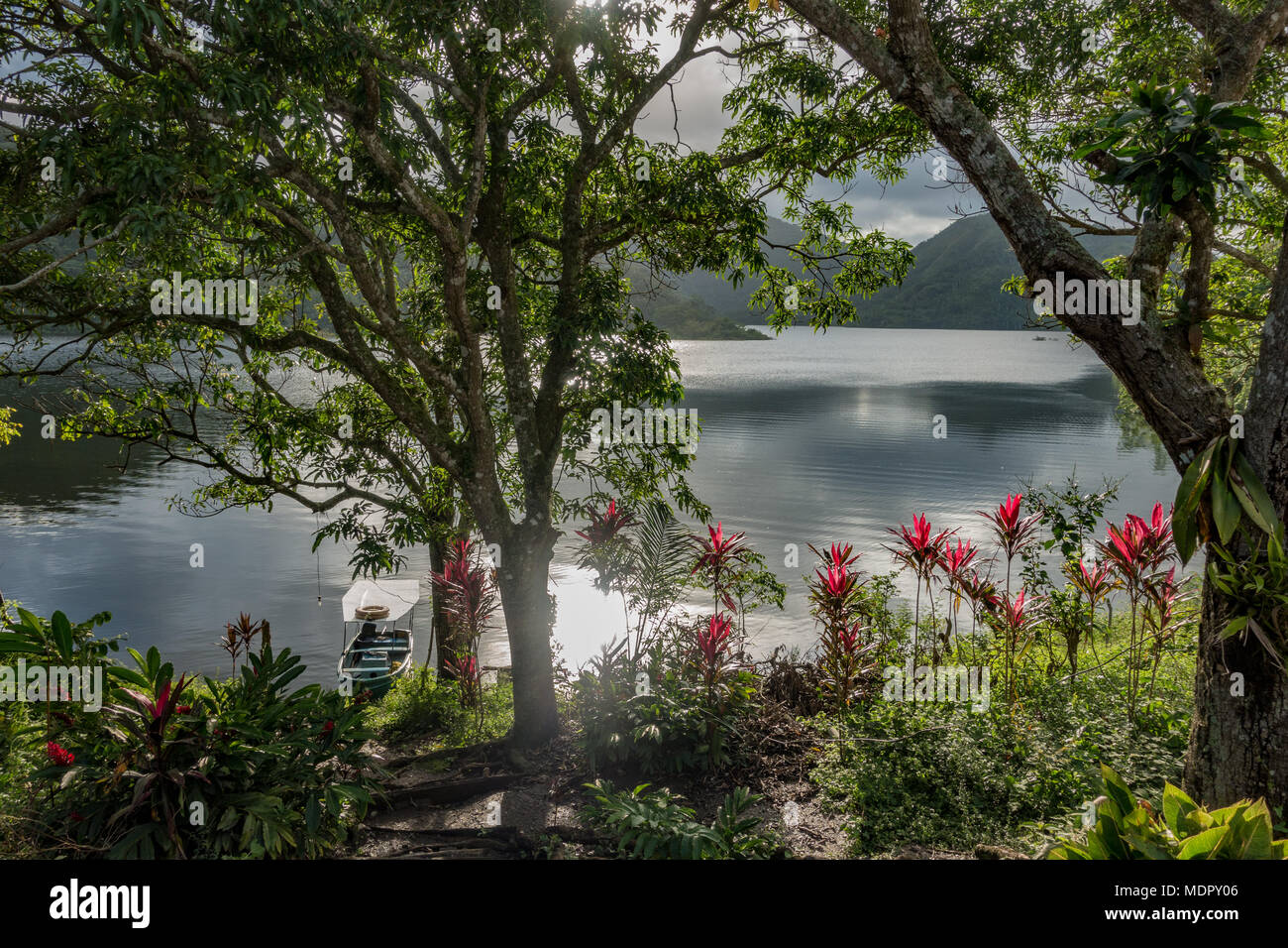 View through the trees of Hanabanilla Lake in Cuba Stock Photo - Alamy