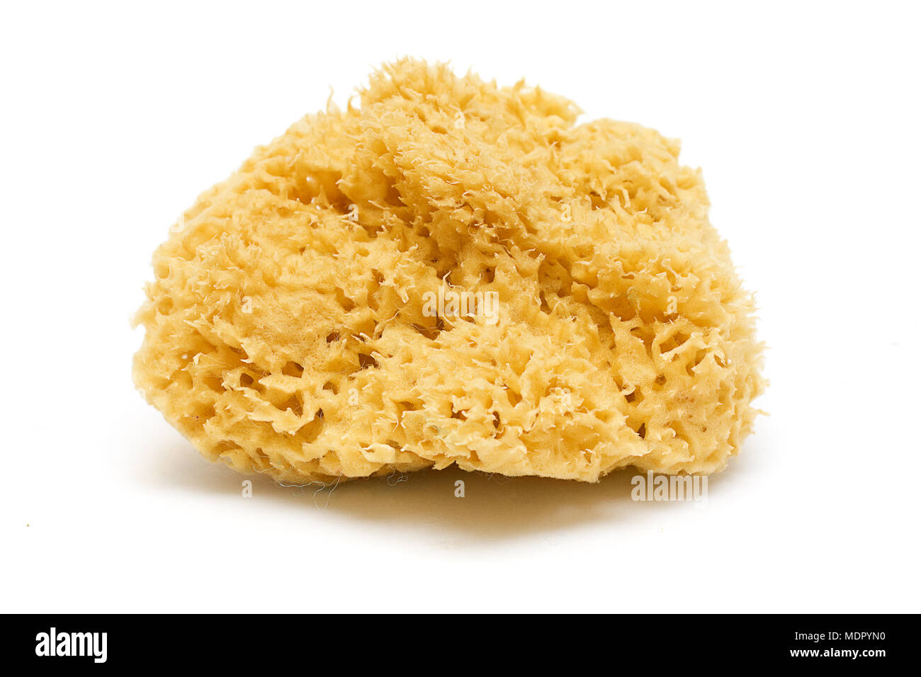 Natural Bath Sponge Isolated on White Stock Photo - Alamy