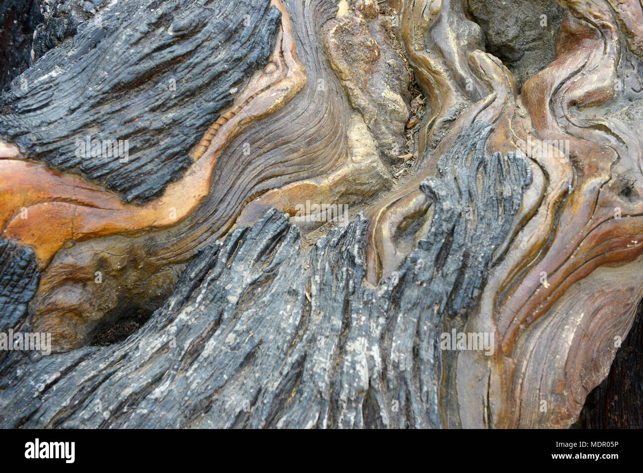 Concrete tree trunks looking very realistic in Beijing Botanic Garden ...