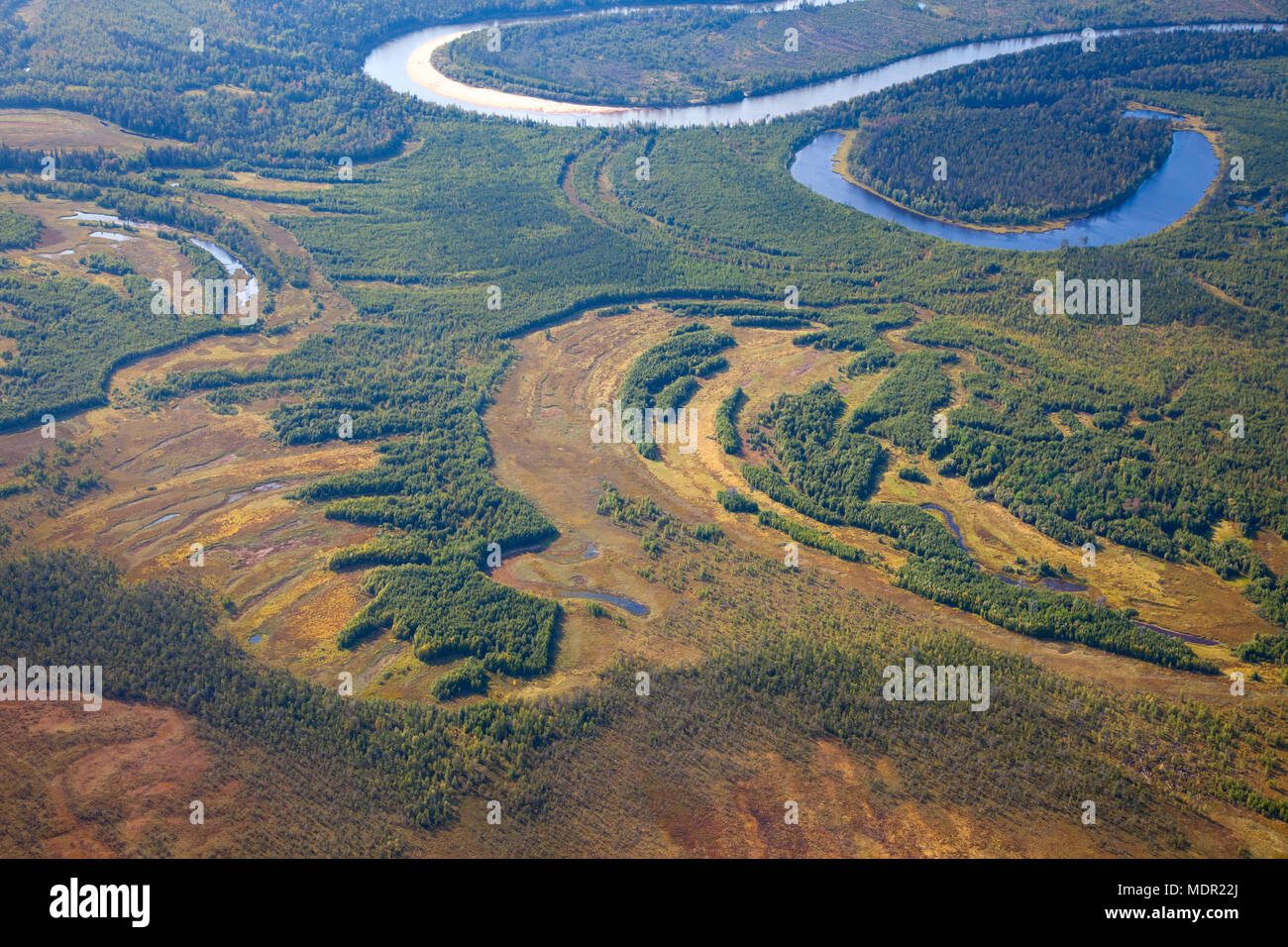 forest river, top view Stock Photo - Alamy