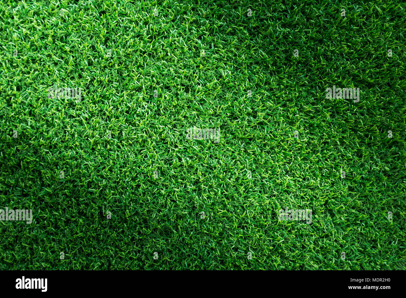 Grass field texture for golf course, soccer field or sports background ...
