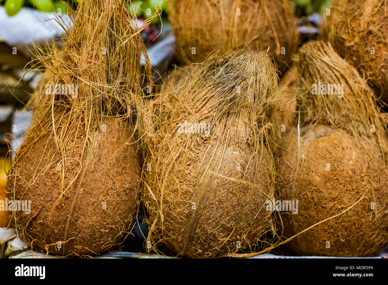 heap of brown coconut lot in retail vegetable super market for sale ...