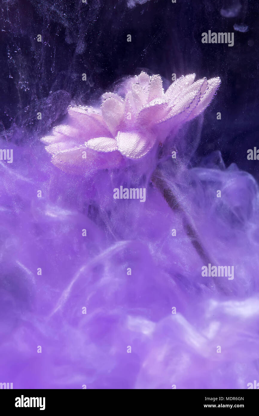 Tank bubbles hi-res stock photography and images - Alamy