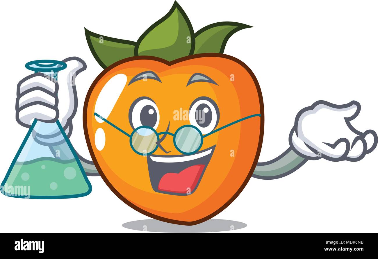 Professor persimmon character cartoon style vector illustration Stock ...