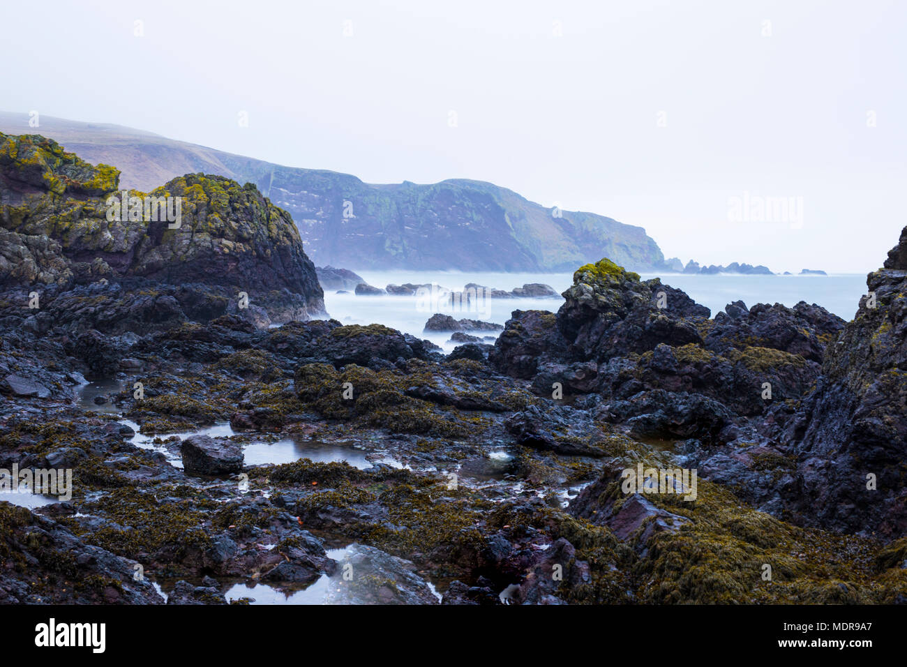 Rugged Rocks of St Abbs Stock Photo - Alamy