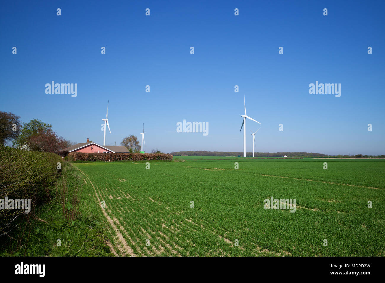 The Wind Turbines on farmland near Clacton on Sea Essex are the largest ...