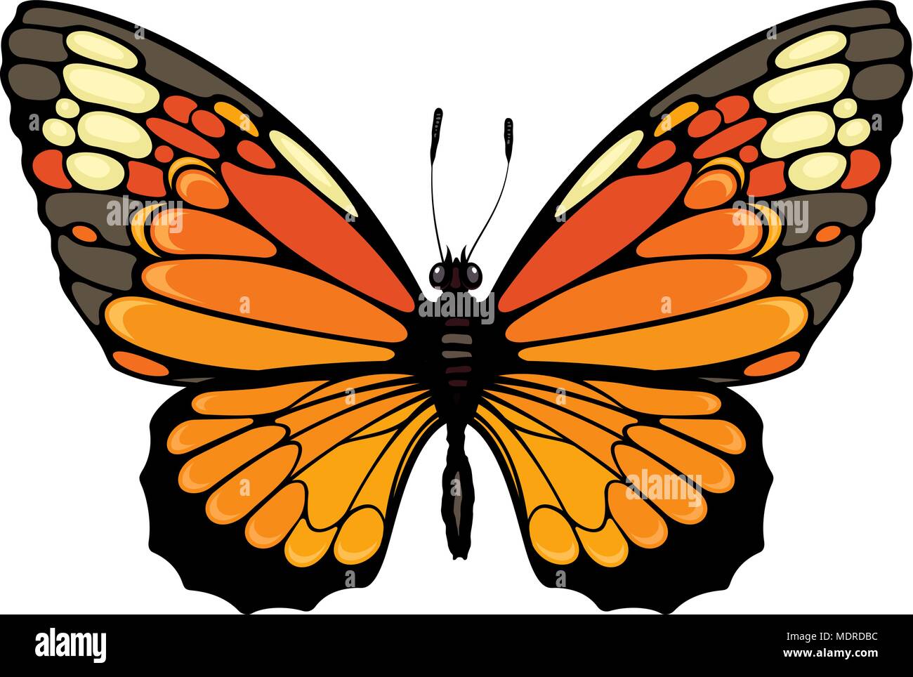 Realistic vector illustration of a butterfly Stock Vector Image & Art ...