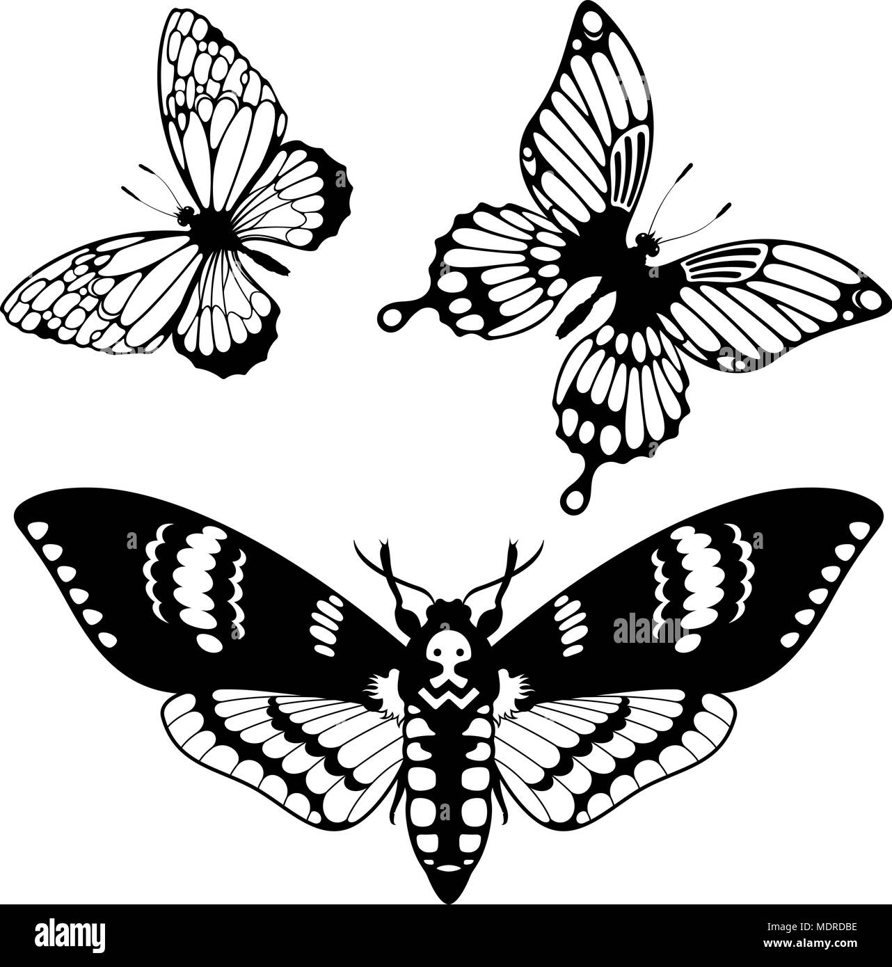 Butterfly silhouette Stock Vector Images - Alamy