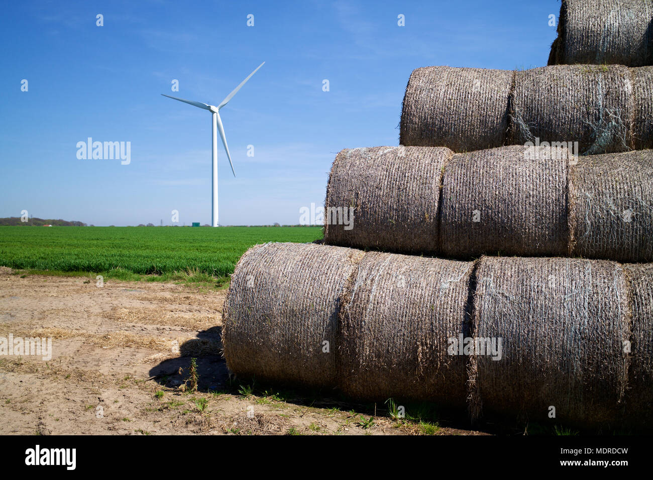 The Wind Turbines on farmland near Clacton on Sea Essex are the largest ...