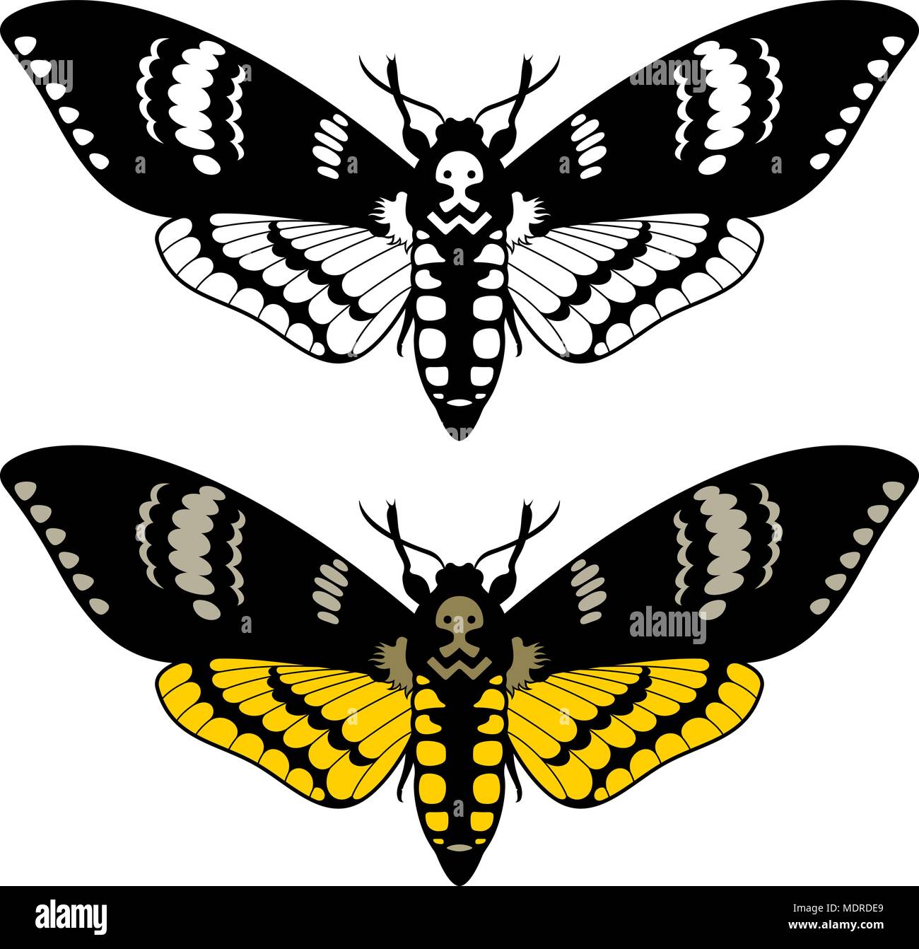 Moth vector vectors Stock Vector Images - Alamy
