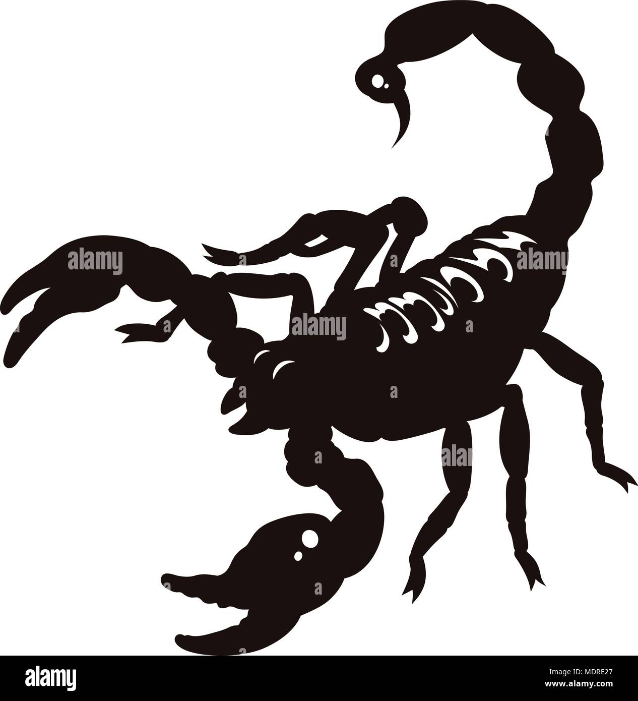 Emperor scorpion Stock Vector Images - Alamy