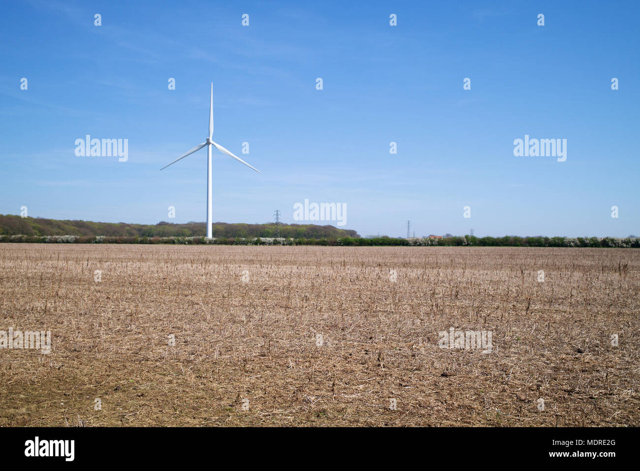 The Wind Turbines on farmland near Clacton on Sea Essex are the largest ...